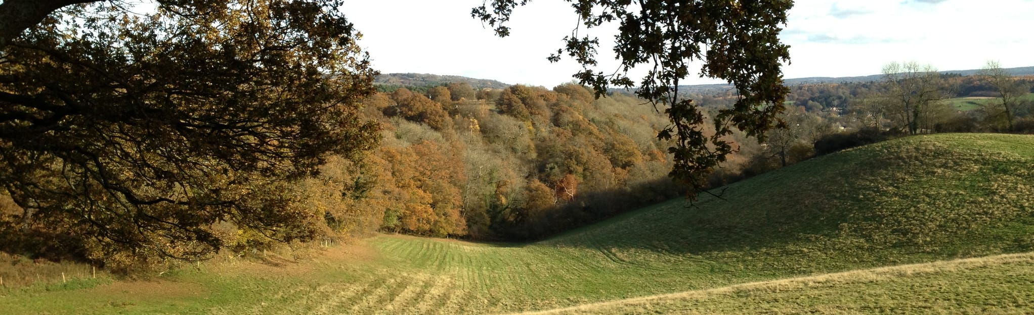 Newlands Corner, Chantry Wood and Chilworth Circular, Surrey, England ...