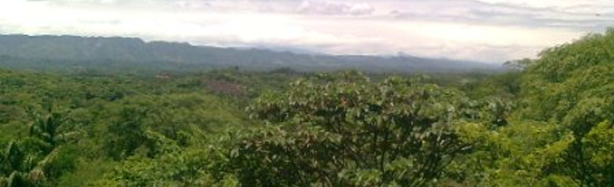 Porongo - Pozo Colorado - Portuguez: 33 Fotos - Santa Cruz, Bolivien ...