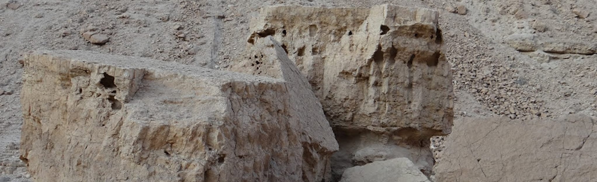 גיא בהק - Southern District HaDarom, Israel | AllTrails