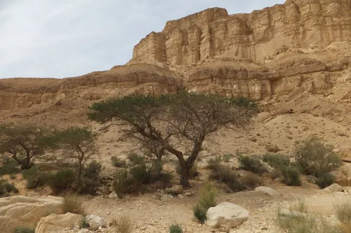 Le migliori escursioni e sentieri in Makhteshim and Ein Yahav Nature ...