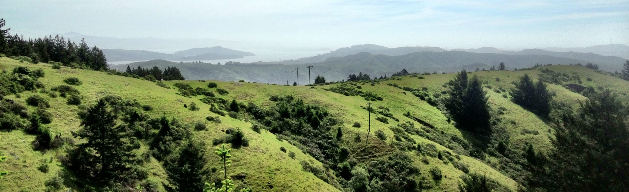 Muir Woods via Bootjack and Ben Johnson Loop, California - 1,152 ...