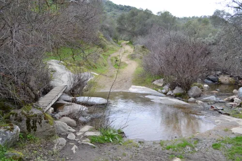 10 Best Trails and Hikes in Three Rivers | AllTrails