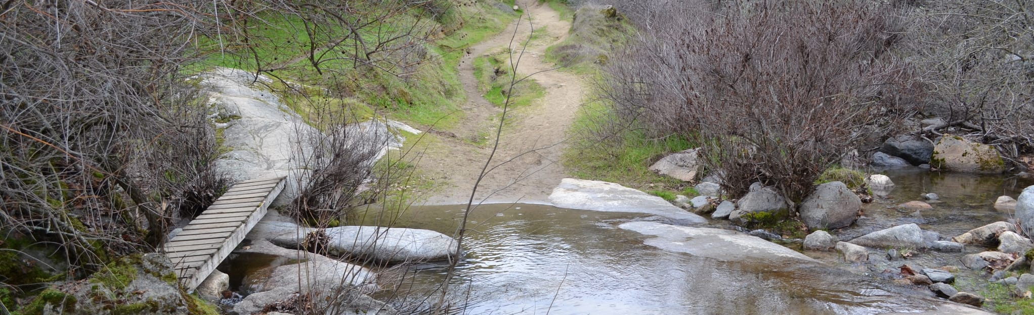 Salt Creek Falls, California - 778 Reviews, Map | AllTrails