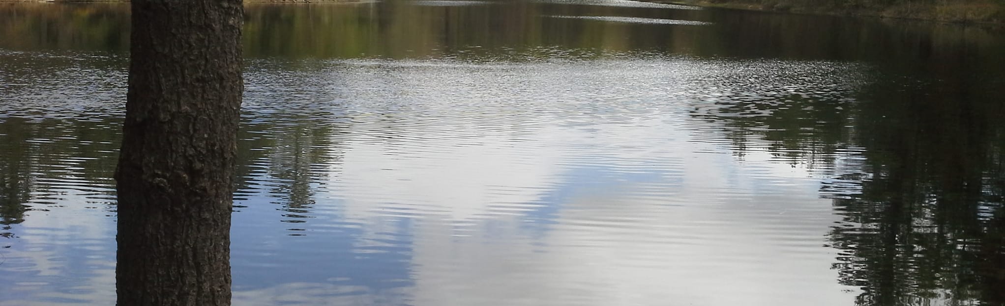 Fish Brook Pond Loop: 26 Reviews, Map - New Hampshire | AllTrails