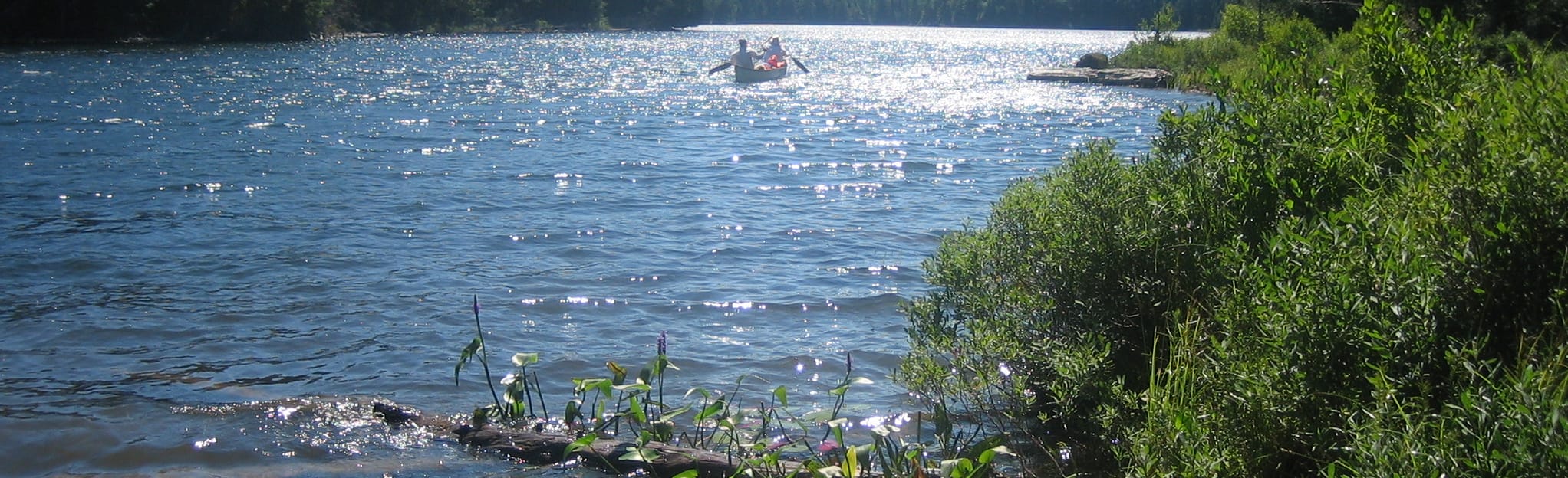 Rain Lake - Magnetawan Lake, 56 Photos - Ontario, Canada | AllTrails