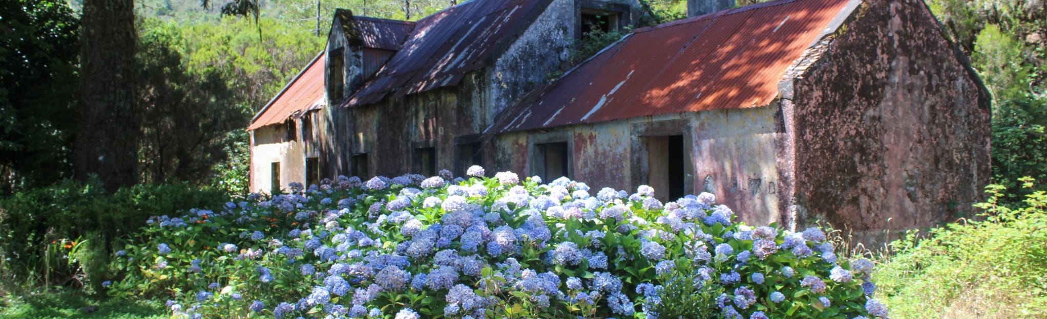 PR17 - O Caminho do Pináculo : 83 Photos - Madeira, Portugal ...