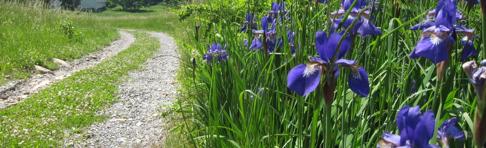 Merestead Garden Loop | Map, Guide - New York | AllTrails