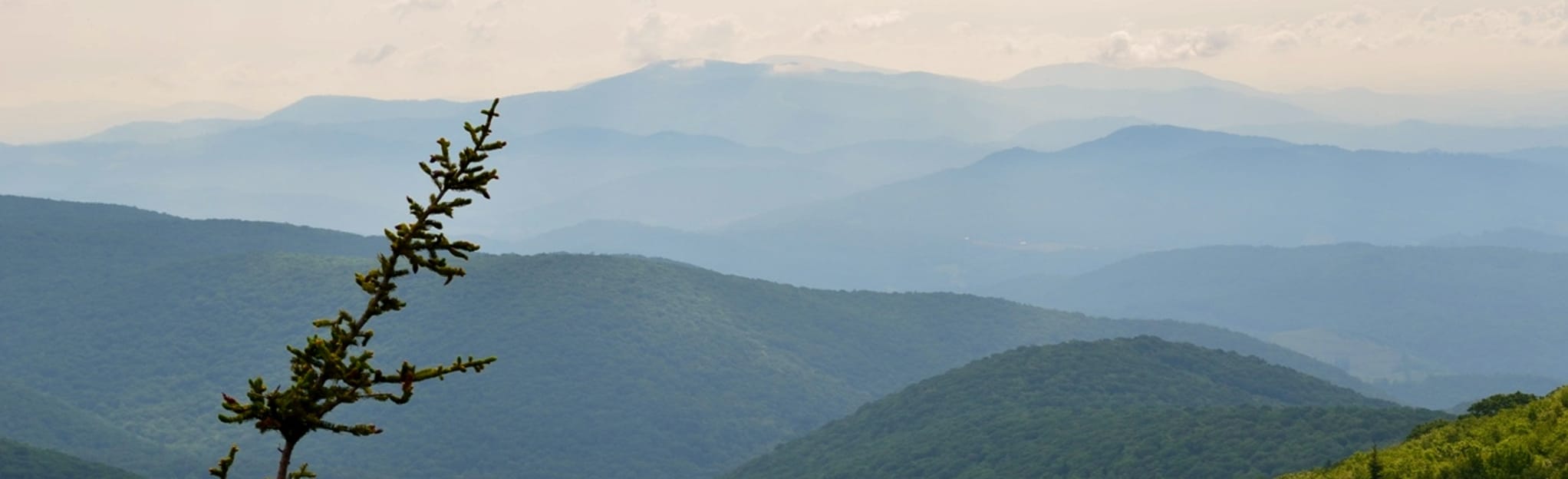 Haw Orchard Mountain and Twin Pinnacles Loop: 149 Reviews, Map ...