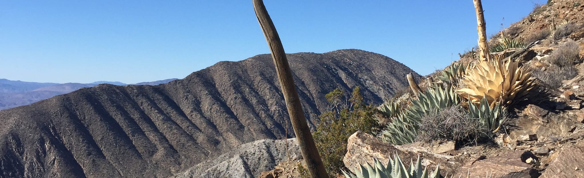 Mile High Mountain: 61 foto - California | AllTrails