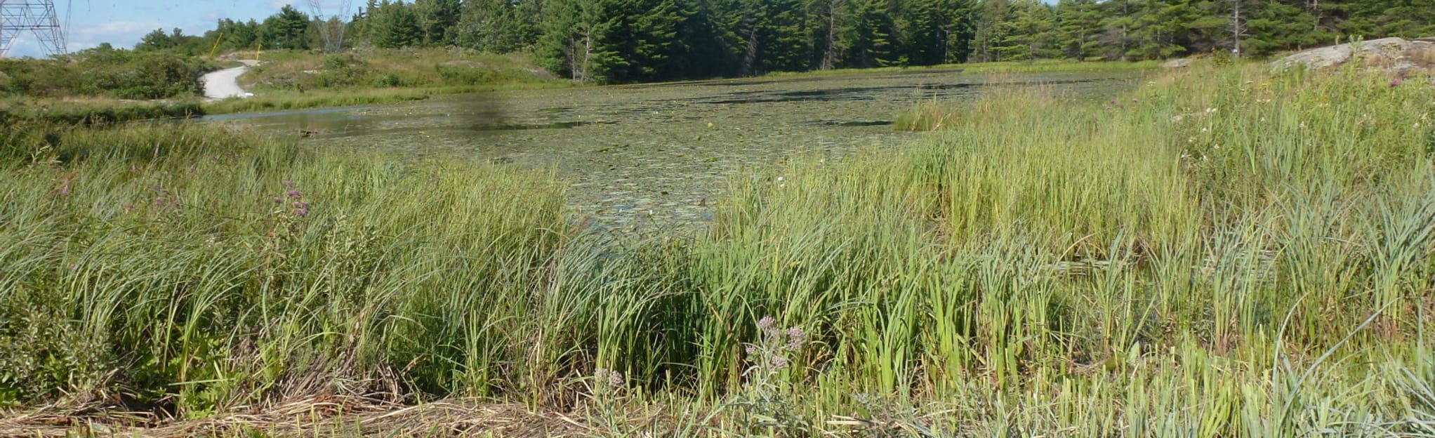 Burrows Lake: 9 Reviews, Map - Ontario, Canada | AllTrails