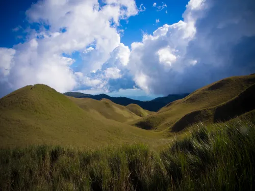 Best Hikes and Trails in Mt. Pulag National Park | AllTrails
