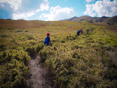 2023 Best 10 Trails and Hikes in Kayapa | AllTrails