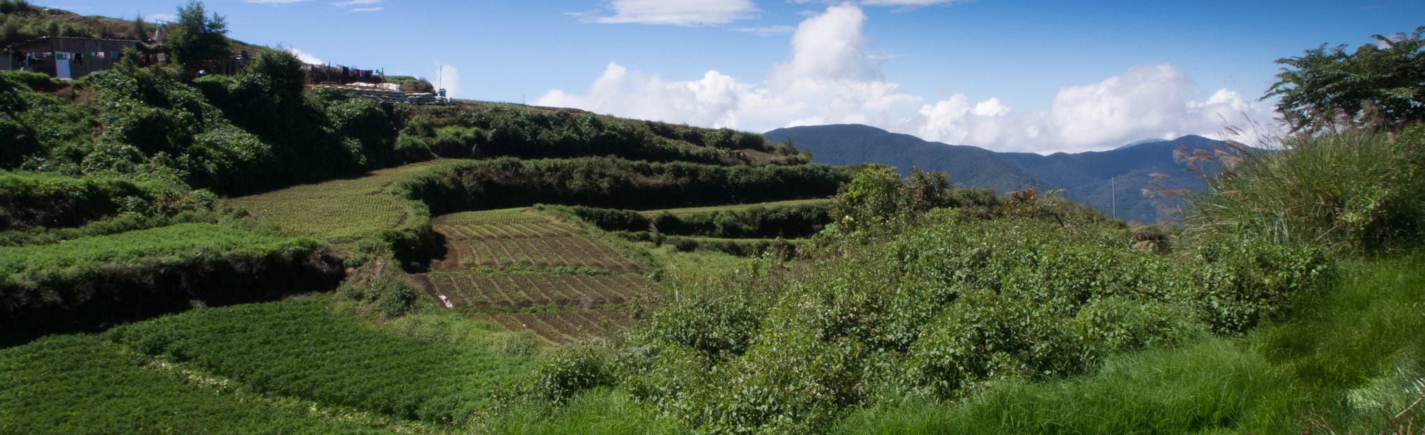 Mount Pulag via Tinoc, Ifugao, Philippines - Map, Guide | AllTrails