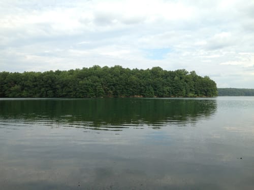 Best 10 Hikes and Trails in Liberty Reservoir Cooperative Wildlife ...