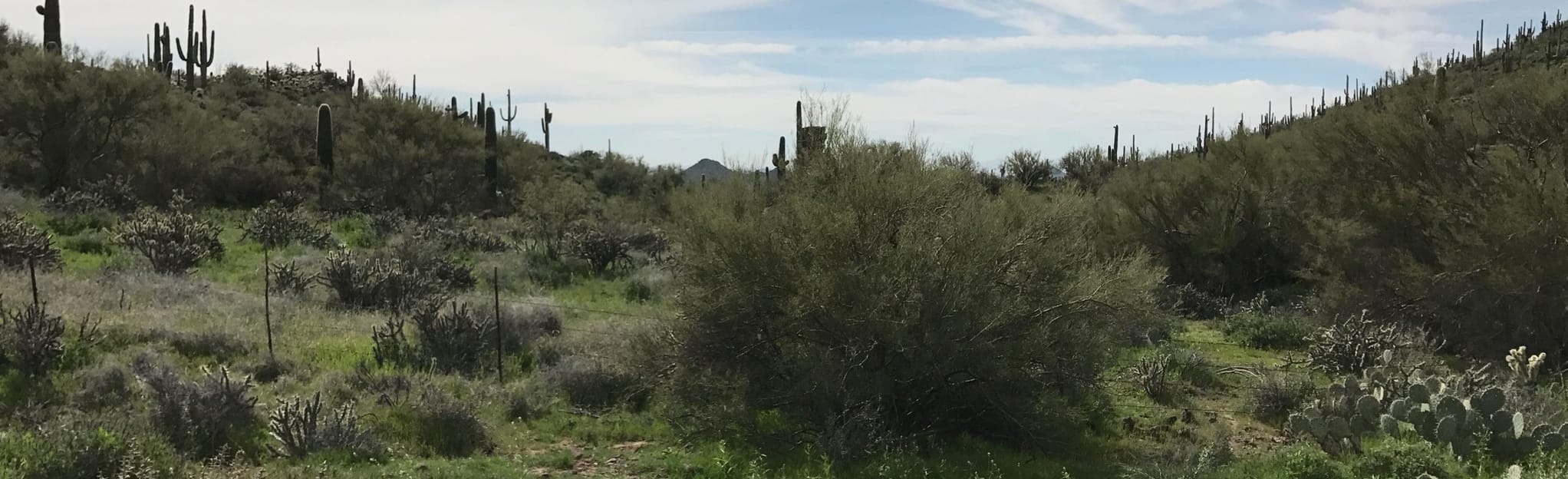 Apache Springs via Bentley Mine Road, Arizona - 20 Reviews, Map | AllTrails
