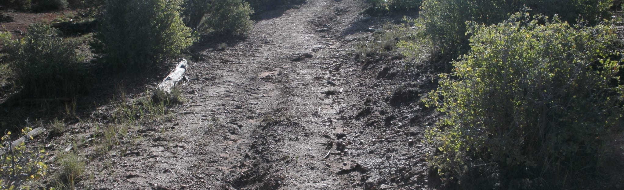 Pinto Canyon | Map, Guide - Utah | AllTrails