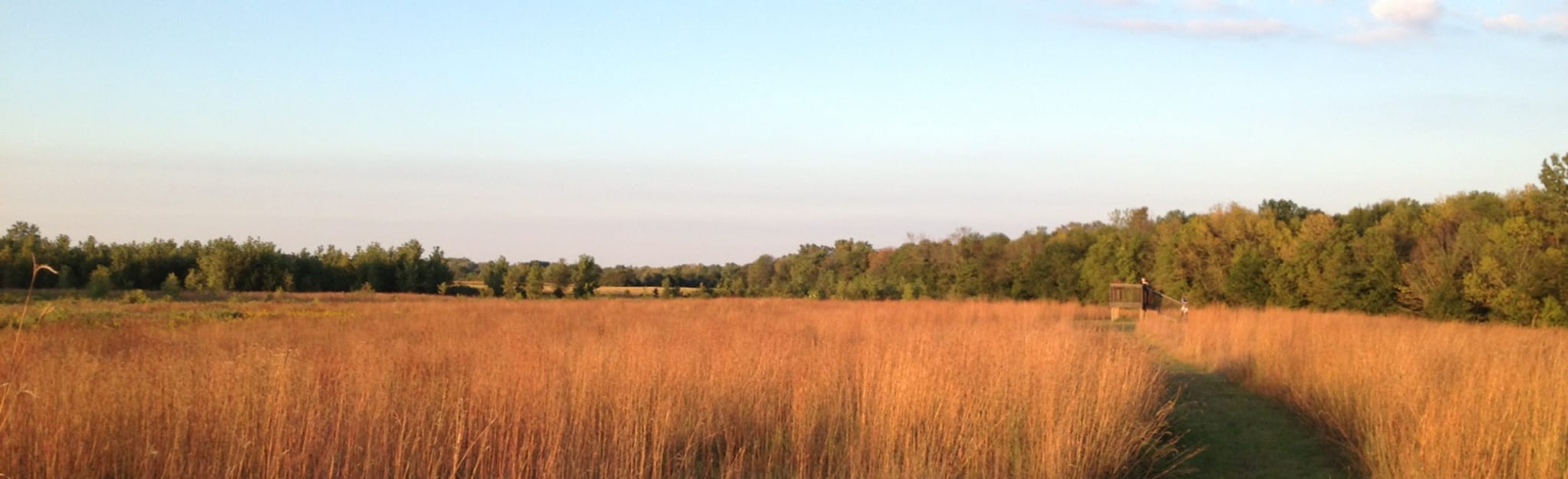 Turkeyfoot Preserve Trail, Ohio - 13 Reviews, Map | AllTrails