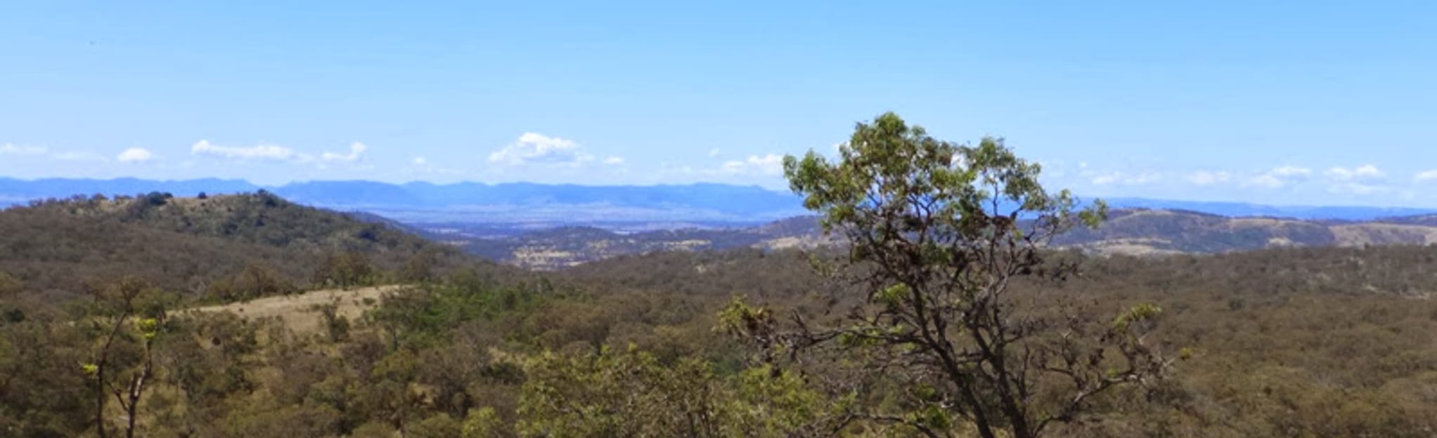 The Springs 4x4 Park: Main Street, Russell Gully and Tontos Trek Loop ...