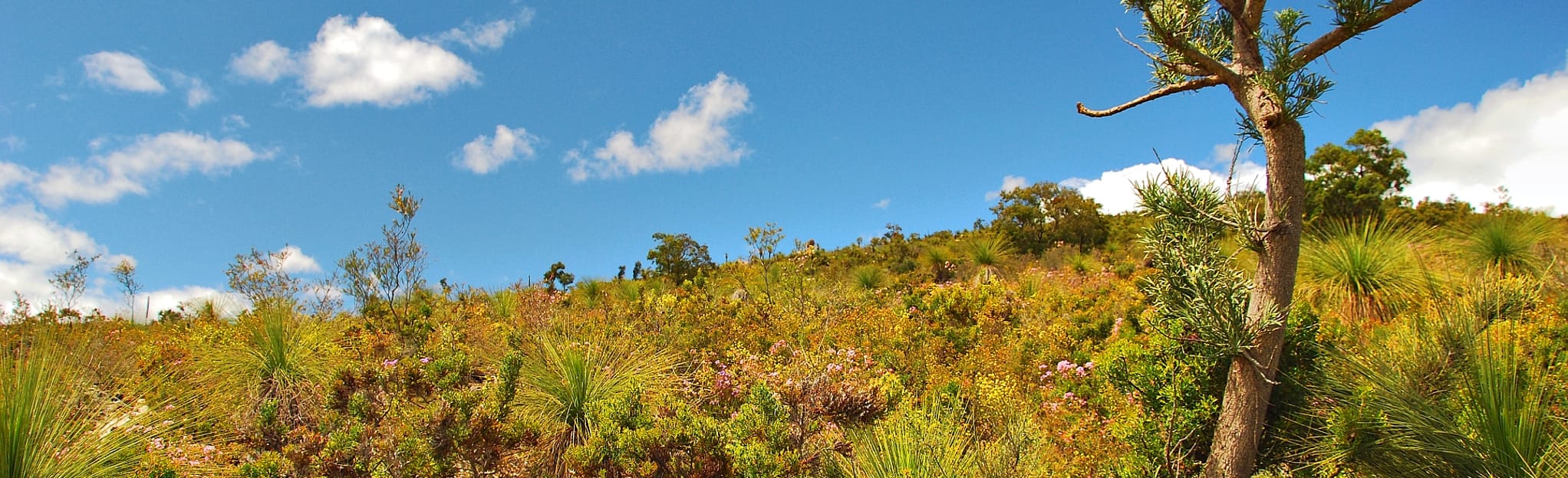 Eagle View, Western Australia, Australia - 26 Reviews, Map | AllTrails