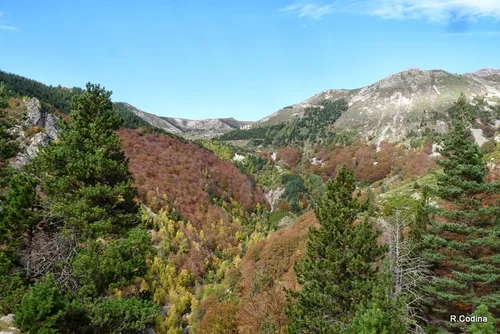 Best Hikes and Trails in Le Tech | AllTrails