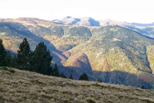 Best Camping Trails in Le Tech | AllTrails