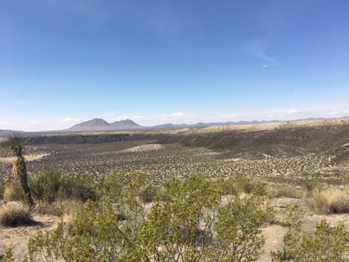 2023 Best Horseback Riding Trails in Anthony | AllTrails