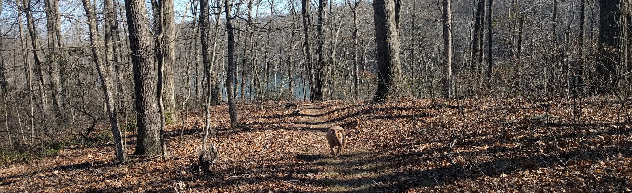 Liberty Reservoir from Cherry Tree Hills, Maryland - 279 Reviews, Map ...