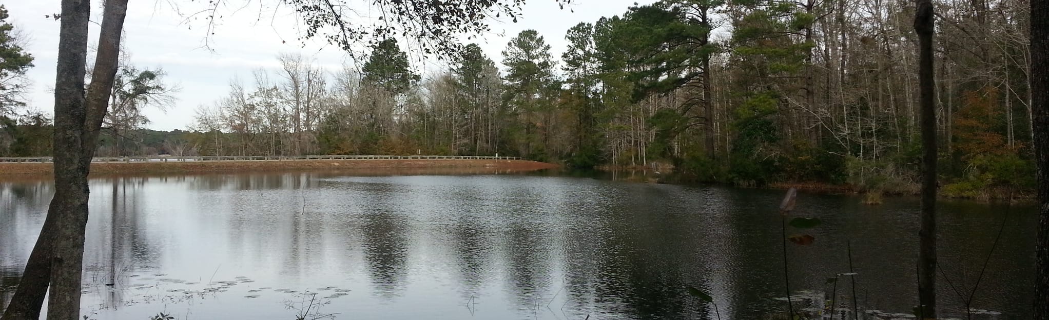 Lake Warren State Park Nature Trail, South Carolina - 17 Reviews, Map ...