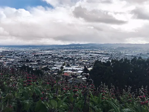 Best Hikes and Trails in Sign Hill Park | AllTrails