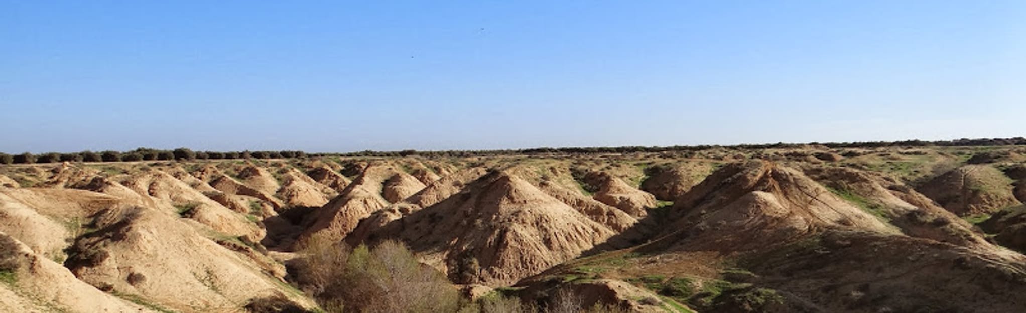 Wadi Besor Bicycle Trail: 0 Reviews, Map - Southern District HaDarom ...