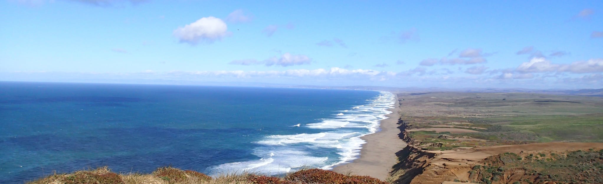 Earthquake Trail, California - 225 Reviews, Map | AllTrails