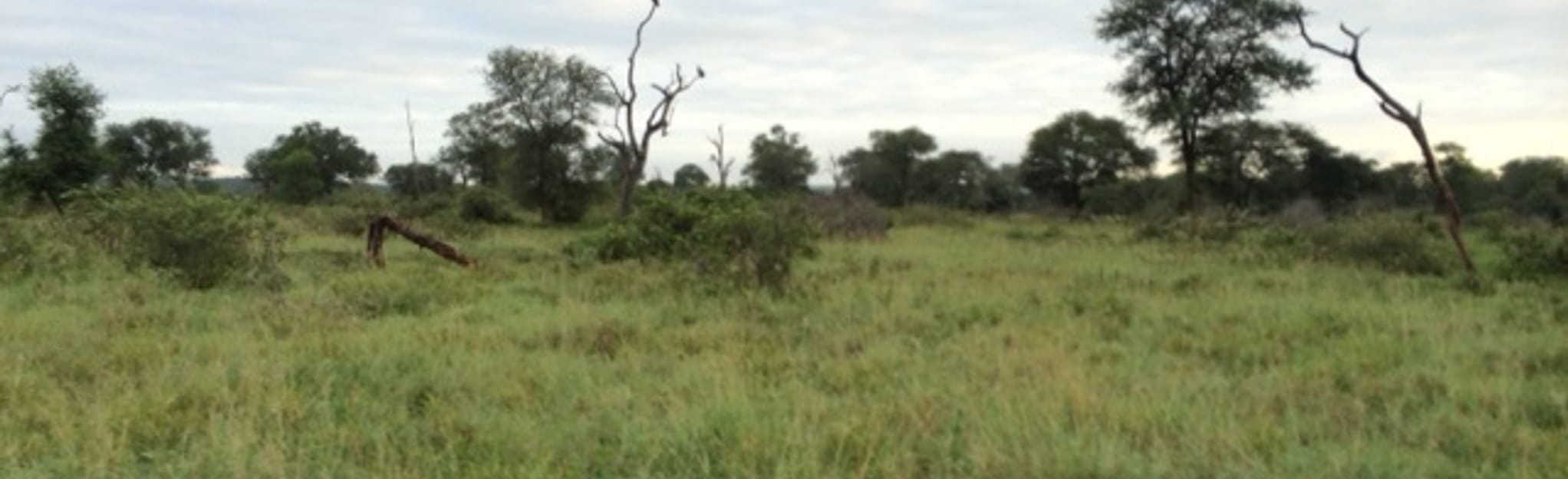Crocodile Bridge Trail: 6 foto's - Mpumalanga, Zuid-Afrika | Wandelen ...