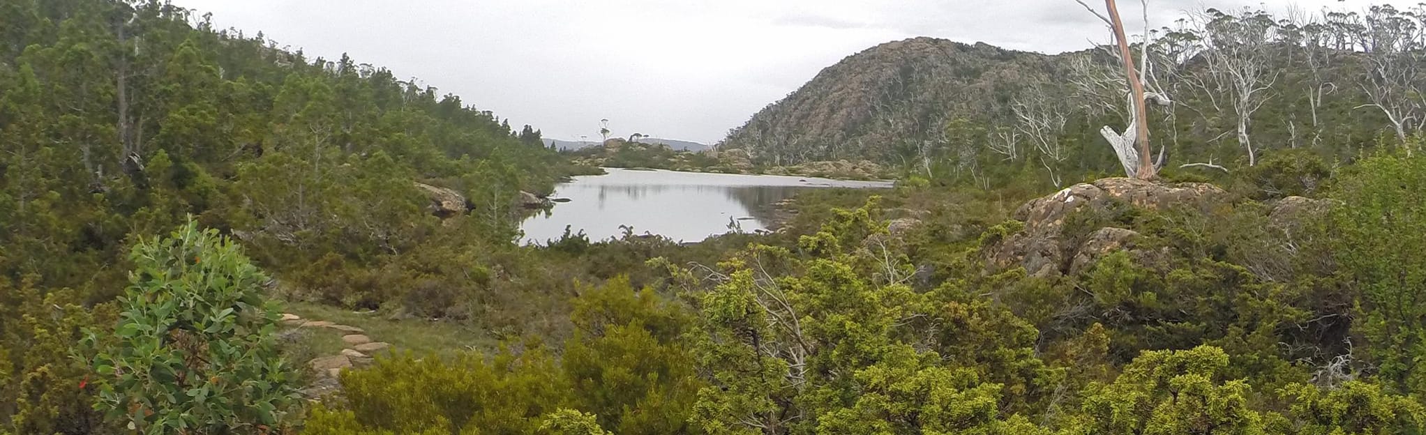 Labyrinth Lookout and Lake Elysia Track: 5 Reviews, Map - Tasmania ...