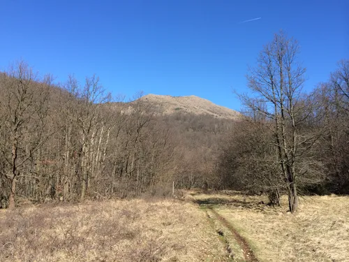 Best Hikes and Trails in Bosio | AllTrails