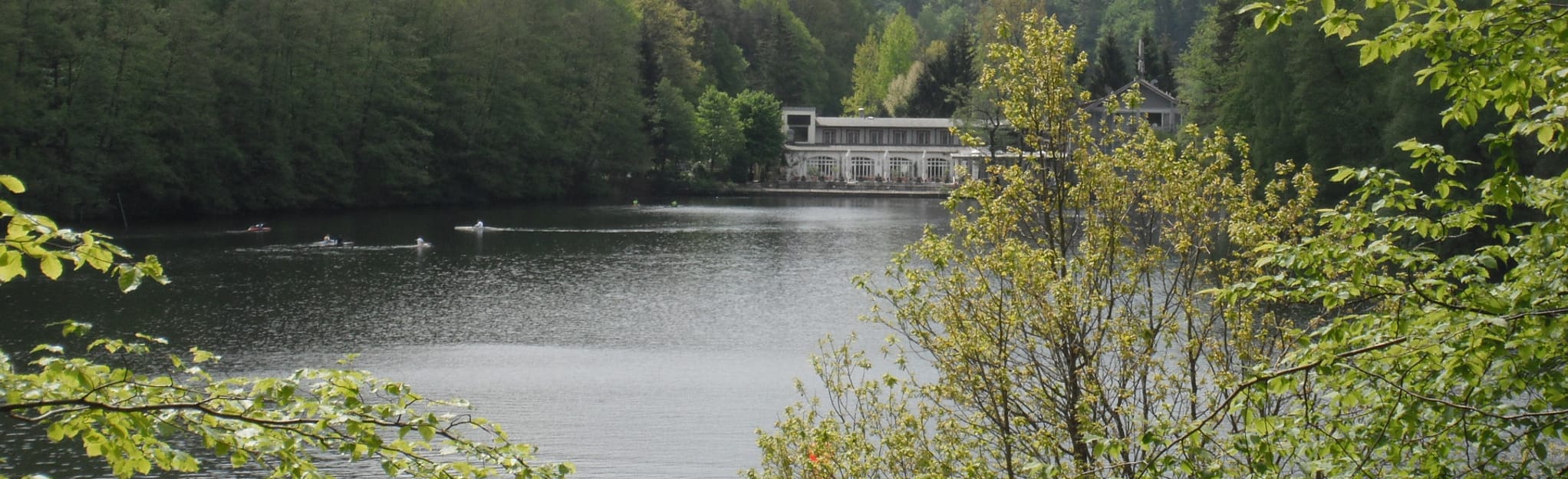 Through Vogelweh, Rhineland-Palatine, Germany - 25 Reviews, Map | AllTrails