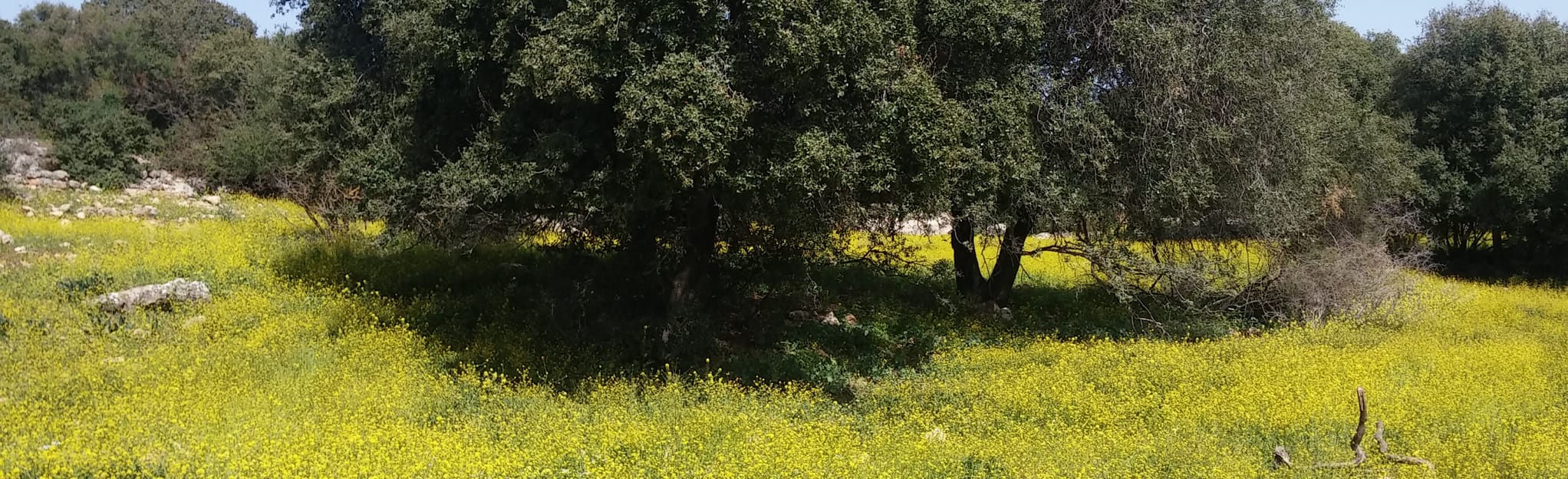 Ramot Naftali Cliffs and Yiftach Loop | Map, Guide - Northern District ...