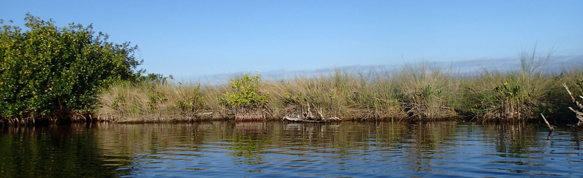 Long Lake and Bird Rookery Canoe Trail, Florida - 9 Reviews, Map ...
