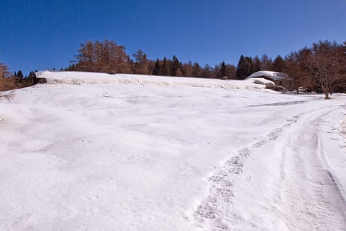 Best Hikes and Trails in Predaia | AllTrails