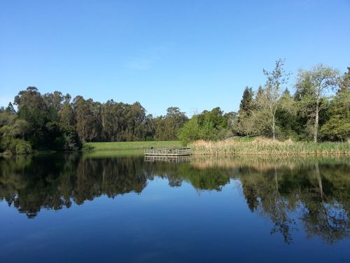 Best Hikes and Trails in Don Castro Regional Recreation Area | AllTrails