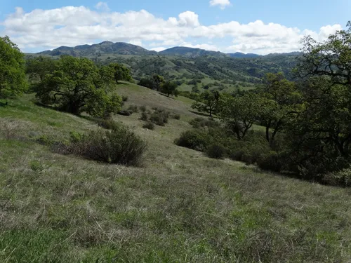 10 Best Trails and Hikes in Mount Hamilton | AllTrails