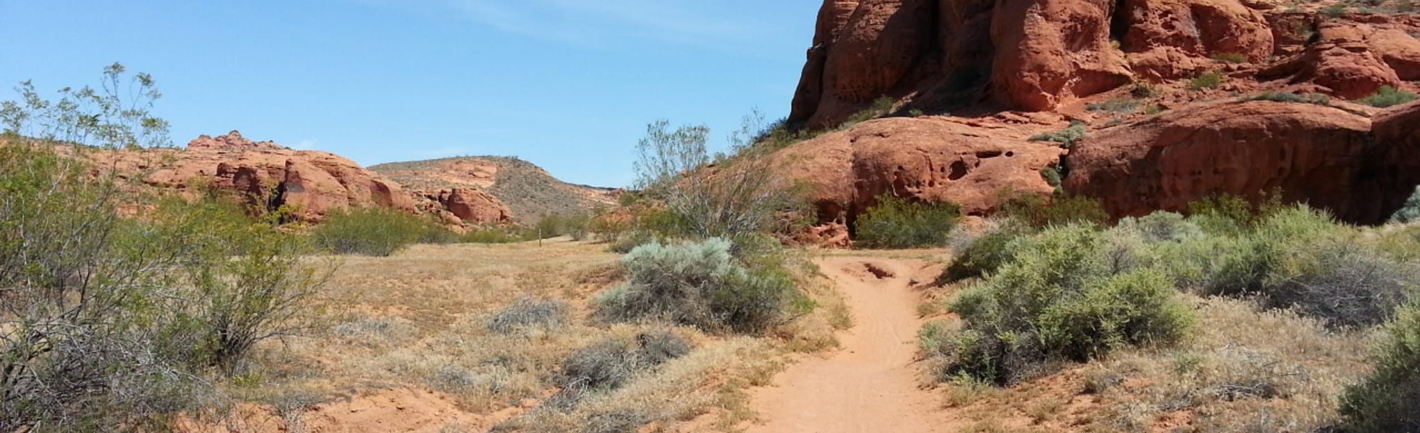 Chuckwalla Trail, Utah - 755 Reviews, Map | AllTrails