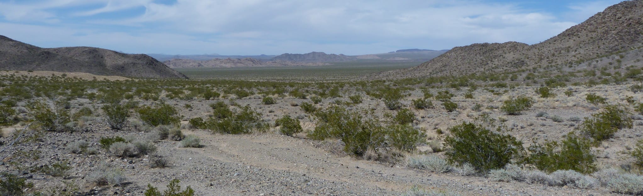 Mojave National Preserve Mine Exploration Walk, California - 28 Reviews ...