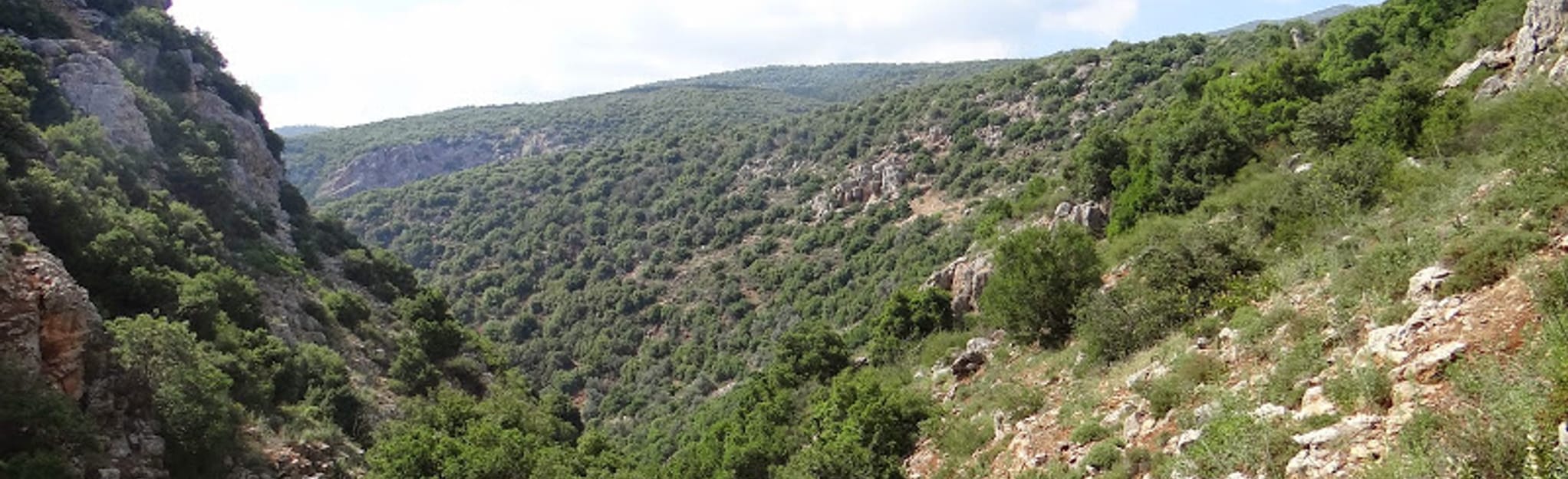 Nahal Hazuri and Sayeret Egoz Campsite and Nimrod Fortress: 14 Reviews ...