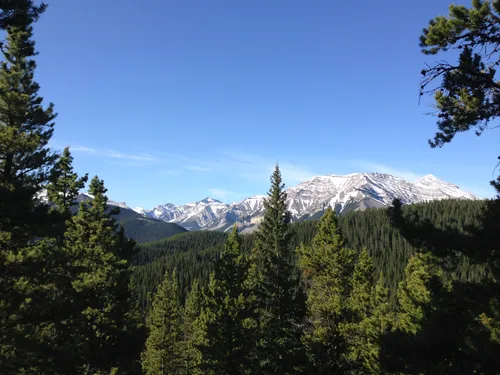 10 Best Hikes and Trails in Sheep River Provincial Park | AllTrails