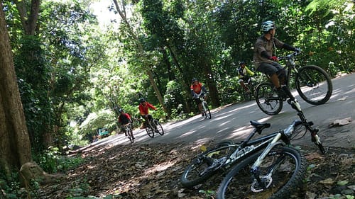 Best Hikes and Trails in Mapawa Nature Park | AllTrails