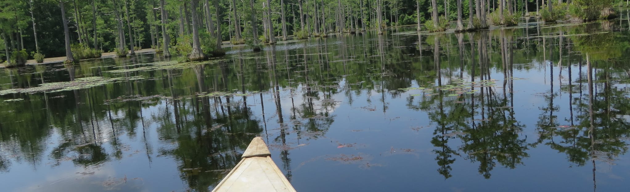 Goodale State Park Canoe Trail: 31 Reviews, Map - South Carolina ...