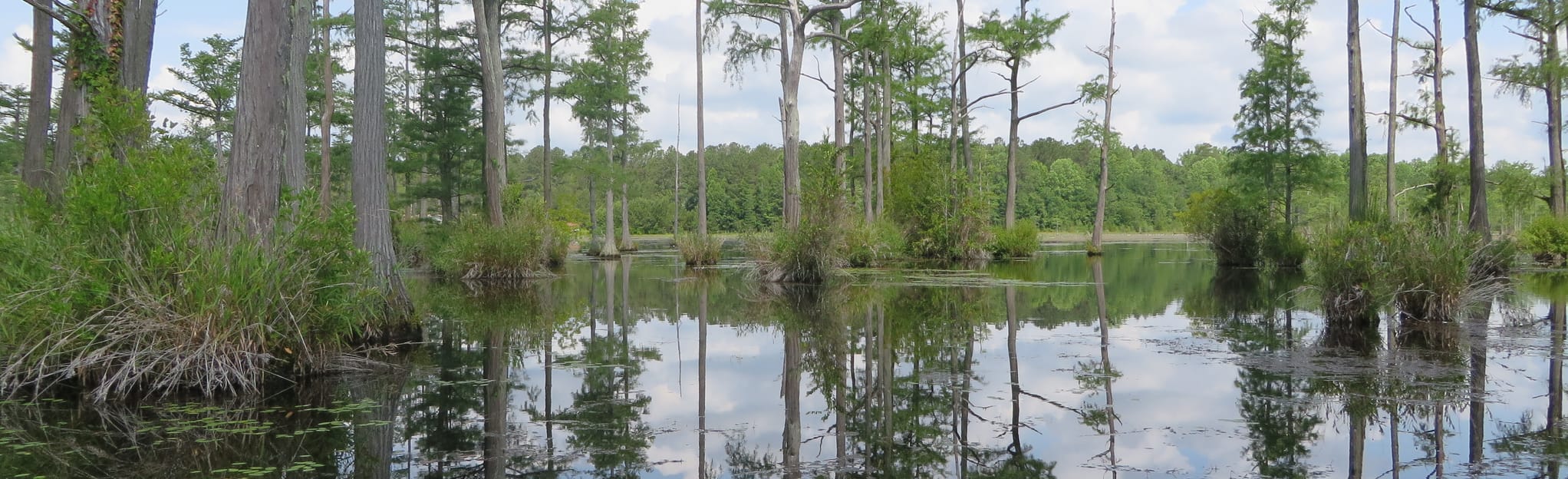 Goodale State Park Paddle Route: 24 Reviews, Map - South Carolina ...