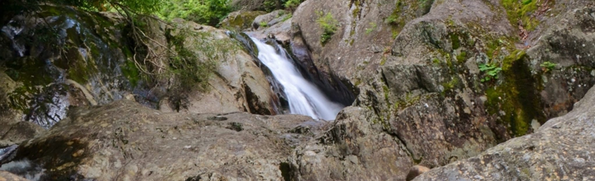 Sunburst Falls, North Carolina - 38 Reviews, Map | AllTrails