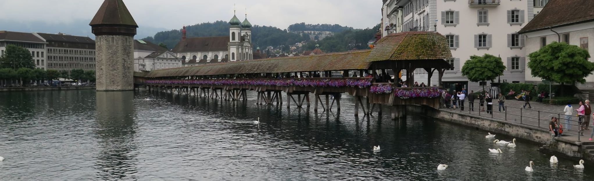 Emmen - Rotsee - Lucerne, Luzern, Switzerland - 7 Reviews, Map | AllTrails