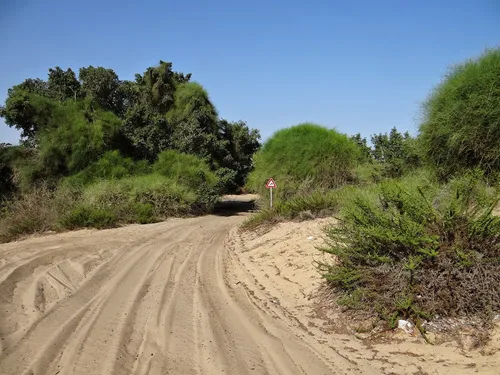 Best Hikes and Trails in Nitzanim Sands Nature Reserve | AllTrails